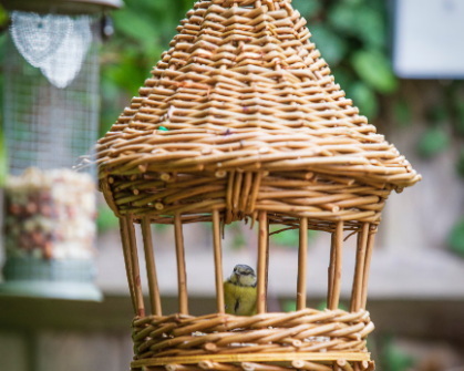 How To Make Wicker Basket for Birds? - HNL